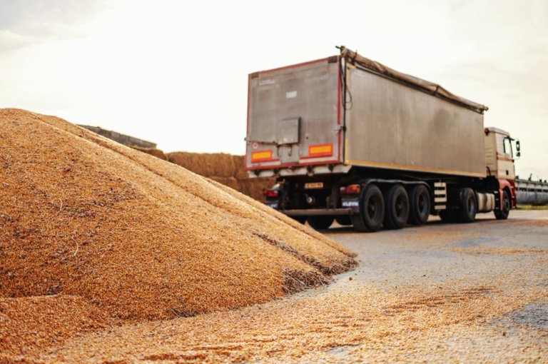 tipos-de-transporte-de-carga-granel | GF Transportes